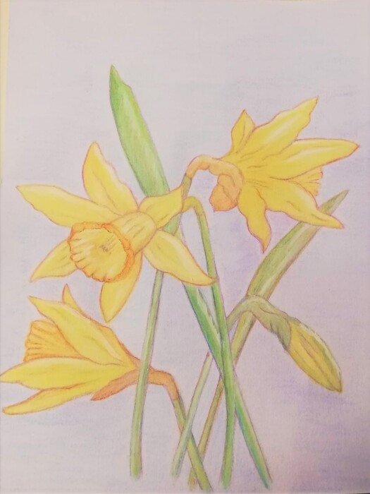 Art Class Gallery :: June Duncan - Art Legacy